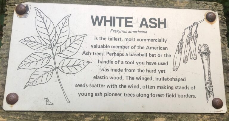 Chestnut Ridge Metro Park – LarrySanger.org