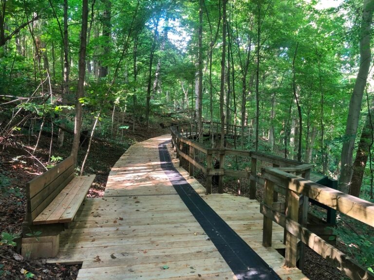 Chestnut Ridge Metro Park – LarrySanger.org