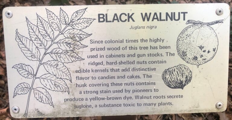 Chestnut Ridge Metro Park – LarrySanger.org