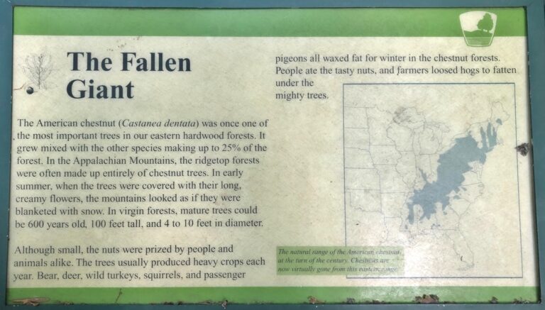 Chestnut Ridge Metro Park – LarrySanger.org