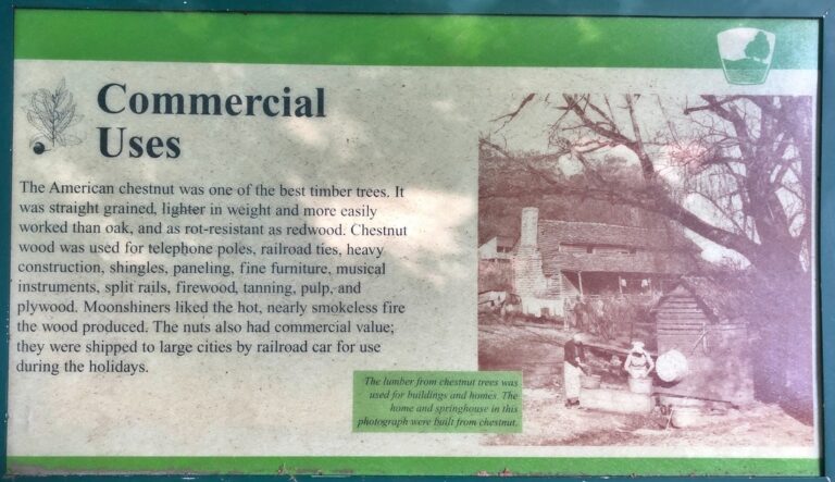 Chestnut Ridge Metro Park – LarrySanger.org