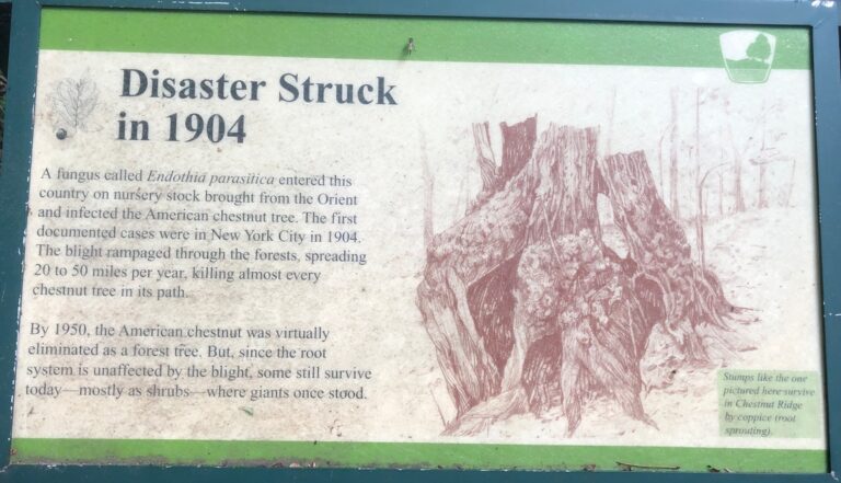 Chestnut Ridge Metro Park – LarrySanger.org