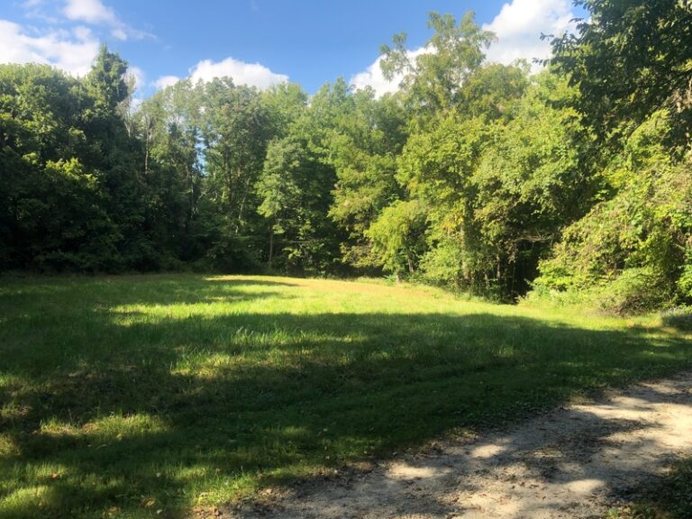 Chestnut Ridge Metro Park – LarrySanger.org