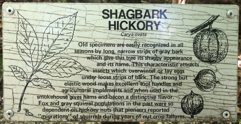 Chestnut Ridge Metro Park – LarrySanger.org