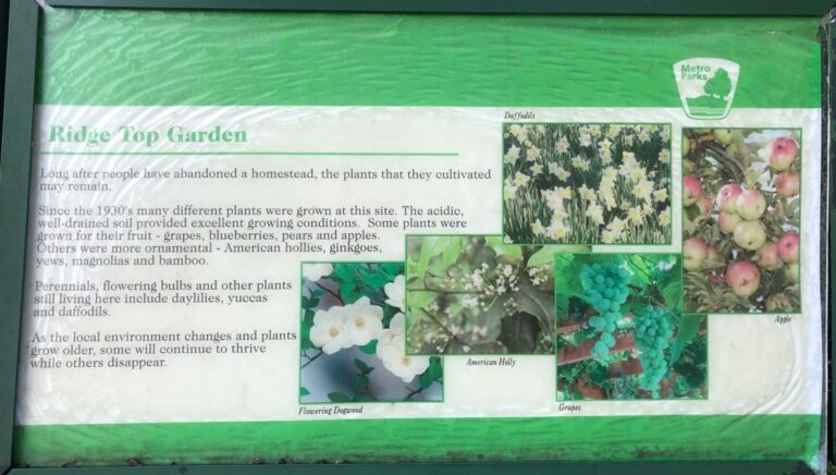 Chestnut Ridge Metro Park – LarrySanger.org