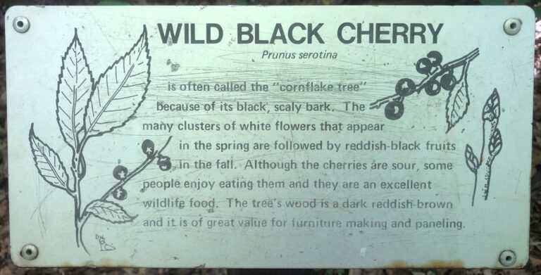 Chestnut Ridge Metro Park – LarrySanger.org