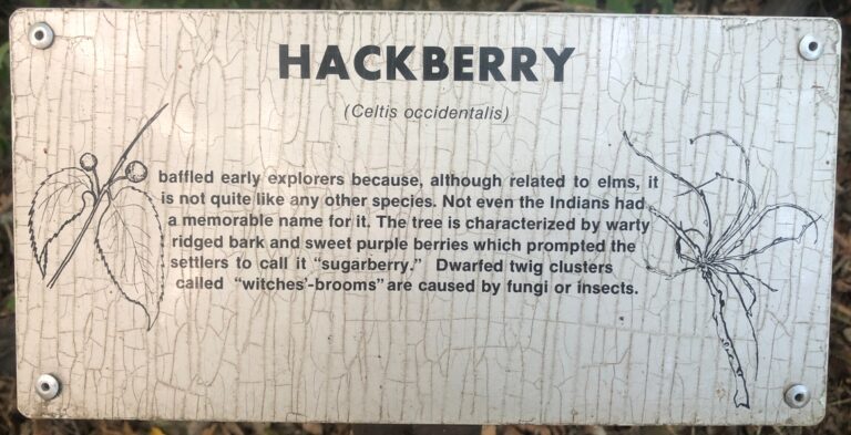 Chestnut Ridge Metro Park – LarrySanger.org