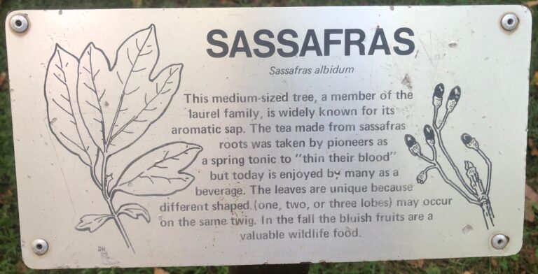 Chestnut Ridge Metro Park – LarrySanger.org