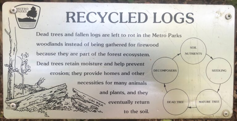 Chestnut Ridge Metro Park – LarrySanger.org