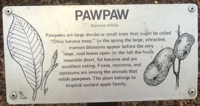 Chestnut Ridge Metro Park – LarrySanger.org