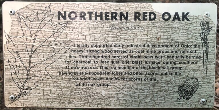 Chestnut Ridge Metro Park – LarrySanger.org