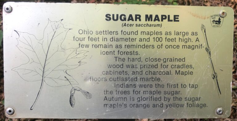 Chestnut Ridge Metro Park – LarrySanger.org