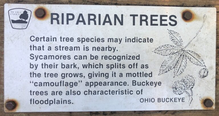 Chestnut Ridge Metro Park – LarrySanger.org