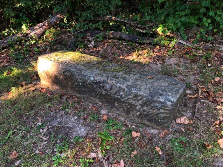 Chestnut Ridge Metro Park – LarrySanger.org